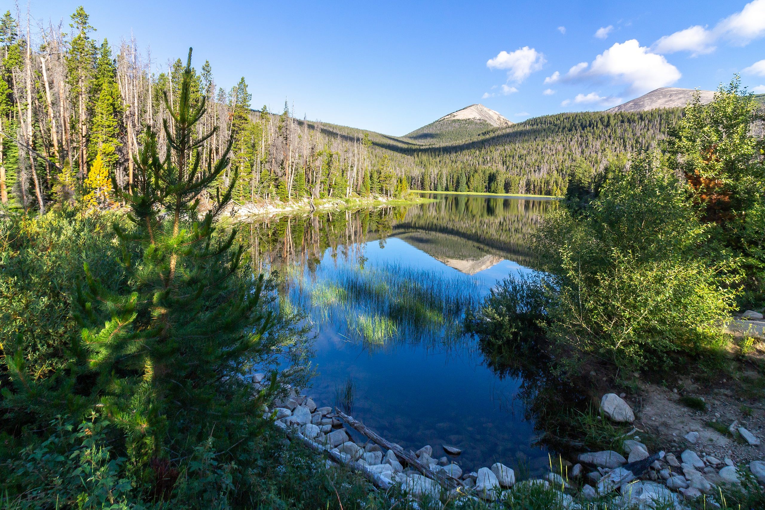 Torrey Mountain | Nature's Course - Inspire . Prepare . Preserve