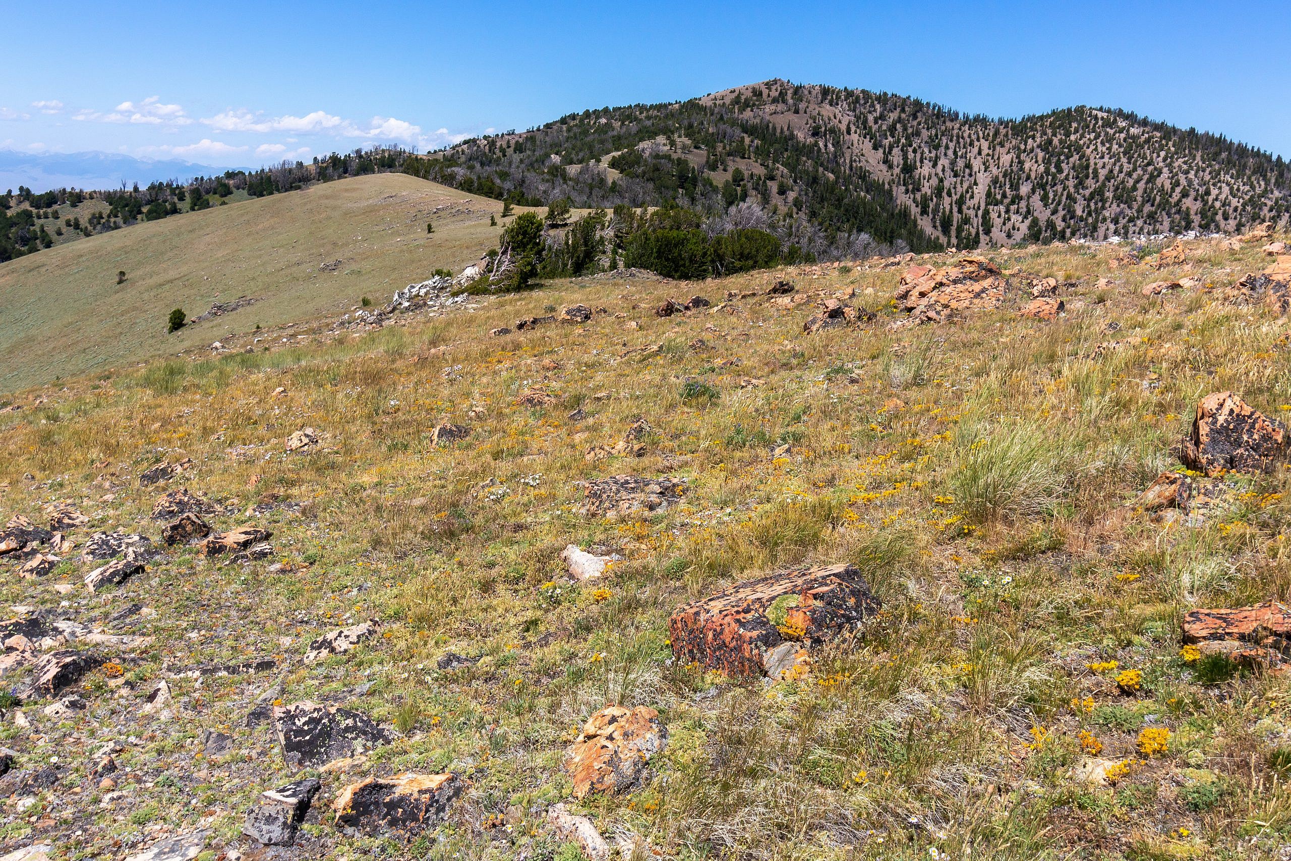 Ruby Peak | Nature's Course - Inspire . Prepare . Preserve