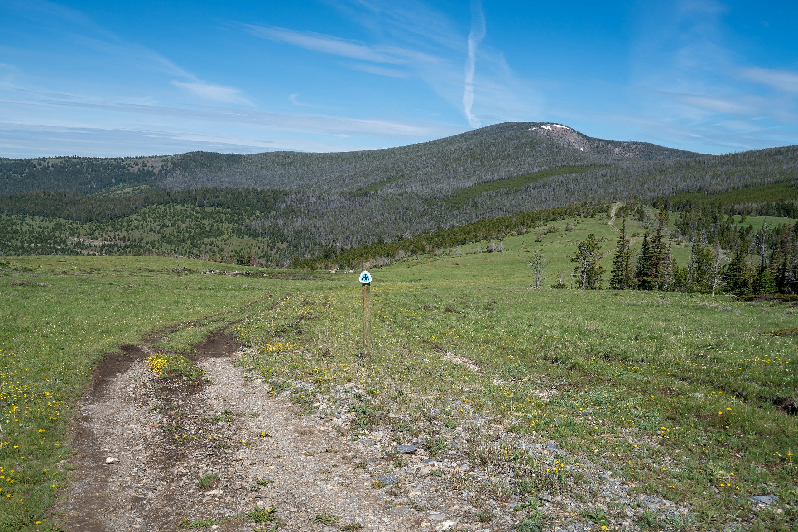 Black Mountain | Nature's Course - Inspire . Prepare . Preserve